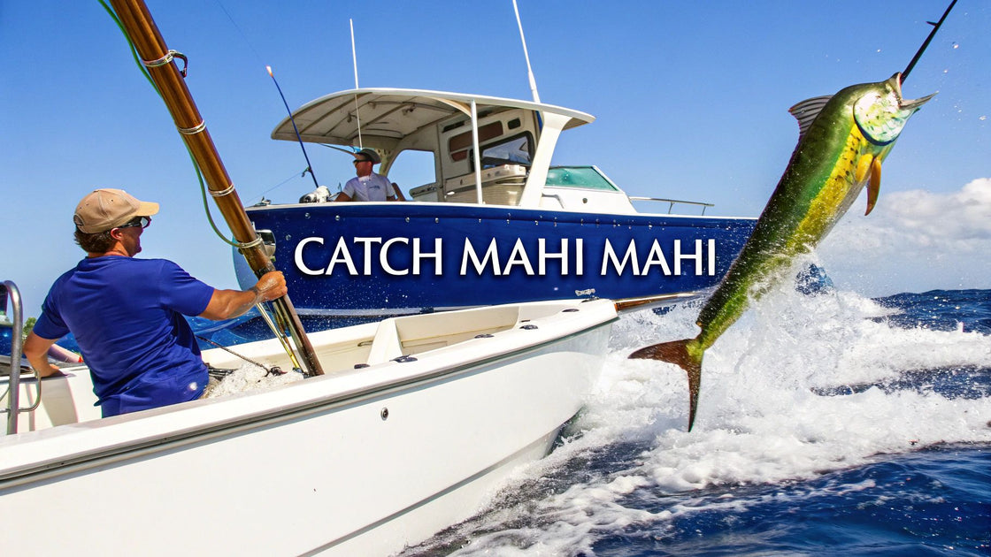 How to Catch Mahi Mahi: A Guide from Sportfishing Legends – Murray ...